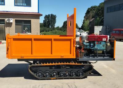 China 2 Ton Hydraulic Crawler Dumper with 35 Degree Slope Capacity and 3050x1700mm Dimensions for Agricultural and Mining Use for sale
