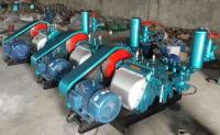 China Customization BW250 Drilling Mud Pump For Large Pneumatic Drilling Rig Machines for sale