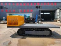 China Large Capacity Customized Steel Crawler Track Good Performance For Multi-terrain for sale