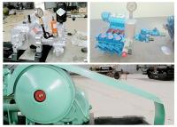 China BW250 Triplex Drilling Mud Pump 250L/min 2.5MPa for Mud Suction ISO Certified for sale