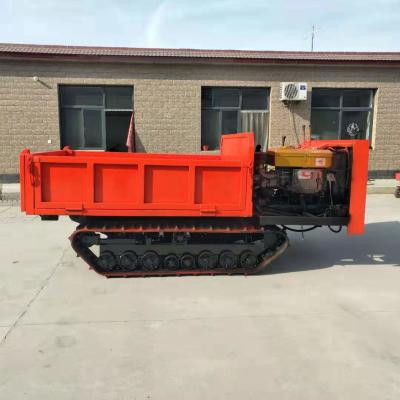 China 3 Ton Track Transporter Crawler Type Customizable Size Easy Maintenance for sale