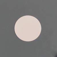 China High Wear Resistance 0.5um Zirconia Alumina Sanding Discs Ceramic Disk 1300HV for sale