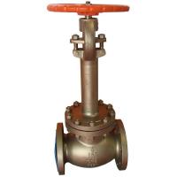 China BS 1873 Cryogenic Globe Valve 150LB - 600LB With Extended Bonnet for sale