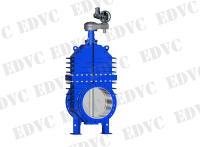 China Big Resilient Seated API 600 Gate Valve Flanged BS EN1563 for sale
