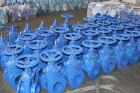 China PN16 DIN Resilient Seat Gate Valve Non Rising Stem Casting DN50 - DN300 for sale