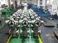 China WCC RSBV API Plug Valve 900LB Full Bore Orbit Plug Valve for sale