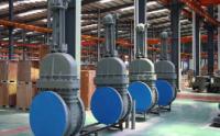 China Manual Operation API 600 Gate Valve OS&Y Bolted Bonnet 150LB for sale