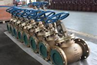 China 900LB Aluminum Bronze Valve RF Nickel API 600 Globe Valve for sale