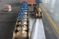 China 900LB Aluminum Bronze Valve RF Nickel API 600 Globe Valve for sale
