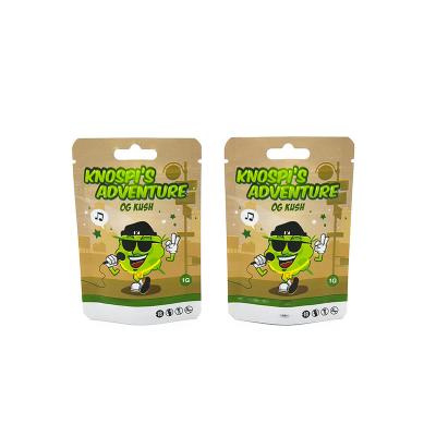 China Custom Logo Smell Proof Stand Up Pouch with Zip Lock Food Grade 100 Pcs MOQ for Cigar Shisha Tobacco for sale