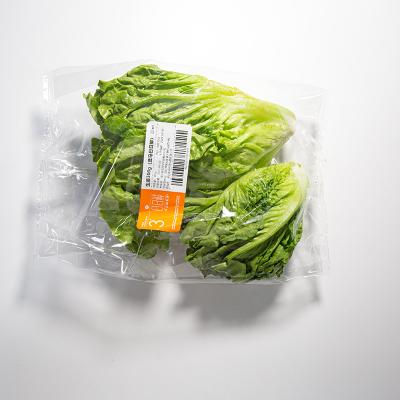 China Resealable Vegetable Storage Bags 8x12 Inch Food Grade PE Film Reusable 50 Pack Eco Friendly Fresh Produce for sale