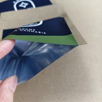 China Custom Printed Kraft Paper Bags Bulk Eco-Friendly 10-Color Logo Printing 50-120 Microns for sale