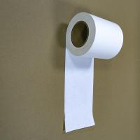 China Biodegradable Paper Film Greaseproof 40gsm Sustainable Packaging Roll for Food for sale