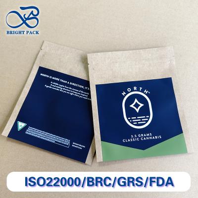 China Custom Printed Kraft Paper Bags Bulk Eco-Friendly 10-Color Logo Printing 50-120 Microns for sale