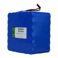 China Low temperature 12.8V 12.5Ah 160Wh LiFePo4 Lithium Ion Phosphate Battery Pack for Solar Street Lighting for sale