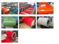 China Dx51d Cold Rolled Base Galvanized Prepainted Color Coated Steel Coil PPGI for Durable for sale