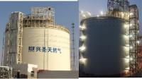 China Flat Bottom Single Containment LNG Storage Tank 30000m3 for sale