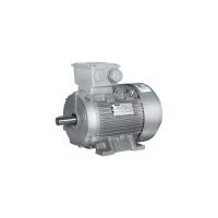 China Siemens SIMOTICS SD Low Voltage Motor 3KW 4 Pole IE3 Cast Iron IP55 1LE0003-1AB52-1AA4 for sale