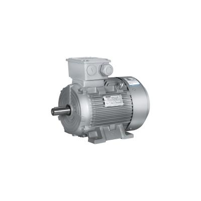 China Siemens SIMOTICS SD Low Voltage Motor 3KW 4 Pole IE3 Cast Iron IP55 1LE0003-1AB52-1AA4 for sale