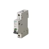 China Siemens 5SN6110-7CN 1-Pole C 10A Circuit Breaker 230/400V 6kA MCB for sale