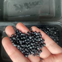 China High Elongation Plastic Black Masterbatch 2-4g/10min Melt Index 2-3mm Size for sale
