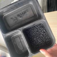 China Good Migration Resistance Plastic Master Batch PE PP Carrier for sale