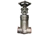 China A105N Forged Steel Oil Gas Valve PSB Globe Valve With 800lbs GVF-001500-N for sale