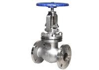 China API600 Oil Gas Valve WCB Stainless Steel Globe Valve With 150lbs 300lbs for sale