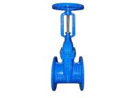 China Rising Stem Din F4 F5 Water Valve BS5163 Cast Ductile Iron Gate Valve With PN10 PN16 PN25 for sale