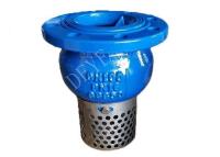 China PN16 PN10 Cast Ductile Iron Foot Check Valve With Stainless Steel Screen for sale
