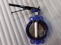China PN10 PN16 PN25 Water Valve Ductile Iron GG25 GGG40 GGG50 Lug Butterfly Valves for sale