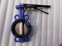 China PN10 PN16 PN25 Water Valve Ductile Iron GG25 GGG40 GGG50 Lug Butterfly Valves for sale