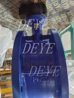 China Cast Ductile Iron Water Valve GGG40 GGG50 Tilting Disc Check Valve With Hammer Weight for sale