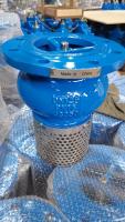 China PN16 PN10 Cast Ductile Iron Foot Check Valve With Stainless Steel Screen for sale
