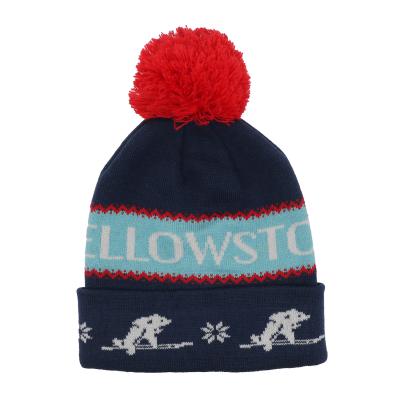 China Knitted Acrylic Winter Pom Beanie Hat Windproof Warm Unisex One Size Fits Most for sale