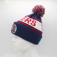 China Custom Thick Knitted Beanies Bobble Hat 58cm Acrylic Winter Hat for Team OEM ODM for sale