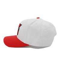 China 6panel Baseball Hats With Snapback  Simple Design Custom 3D Logo Stylish Look 48CM for sale
