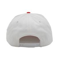 China 6panel Baseball Hats With Snapback  Simple Design Custom 3D Logo Stylish Look 48CM for sale