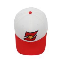 China 6panel Baseball Hats With Snapback  Simple Design Custom 3D Logo Stylish Look 48CM for sale