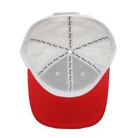 China 6panel Baseball Hats With Snapback  Simple Design Custom 3D Logo Stylish Look 48CM for sale