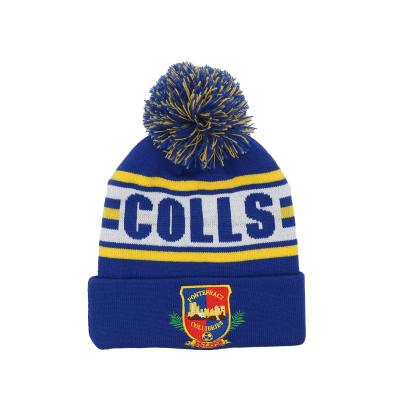 China Customized Service Unisex Winter Hat With 3D Embroidery Logo And Raised Rubber Print for sale