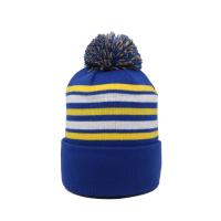 China Customized Service Unisex Winter Hat With 3D Embroidery Logo And Raised Rubber Print for sale