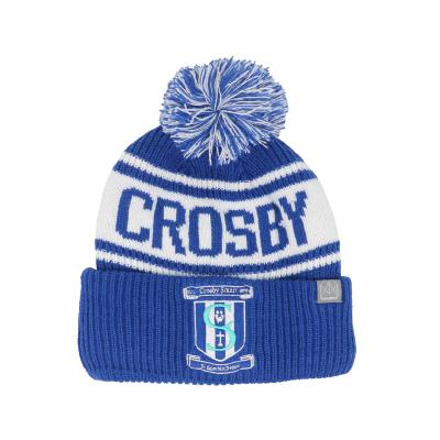 China Winter Hat 100% Acrylic Beanies With Custom Logo From Professional Manufacturers for sale