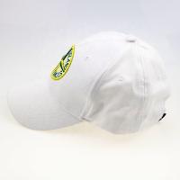 China Common Fabric Feature Embroidery Baseball Cap For Fishing for sale