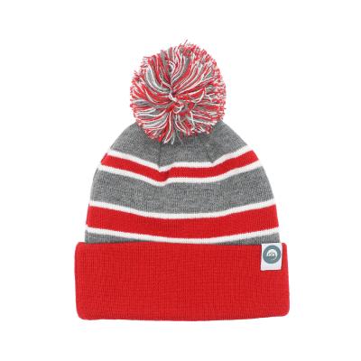 China Custom Logo 100% Acrylic Stripe Beanie Winter Hat 58cm for Embroidery for sale