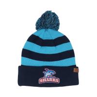 China Custom Logo 100% Acrylic Stripe Beanie Winter Hat 58cm for Embroidery for sale
