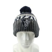 China Custom Jacquard 3D Embroidered Winter Hats for Baby and Adult 58cm Acrylic Beanie for sale