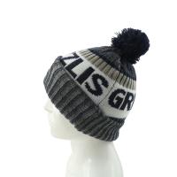 China Custom Jacquard 3D Embroidered Winter Hats for Baby and Adult 58cm Acrylic Beanie for sale