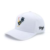 China 48cm Waterproof Drilled Hole Perforated Hat Outdoor Activities Golf Performance Hat for sale