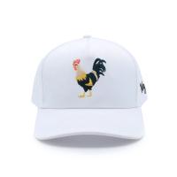 China 48cm Waterproof Drilled Hole Perforated Hat Outdoor Activities Golf Performance Hat for sale